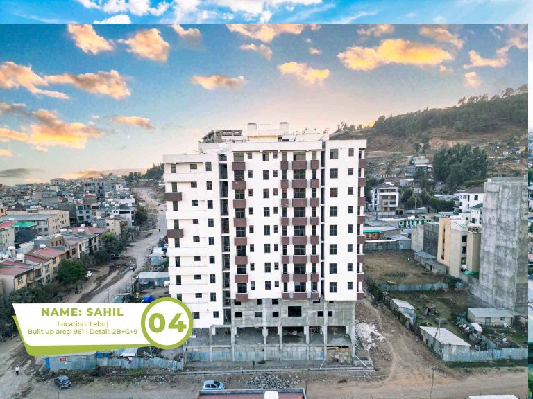 About Us - Temer Real Estate Ethiopia