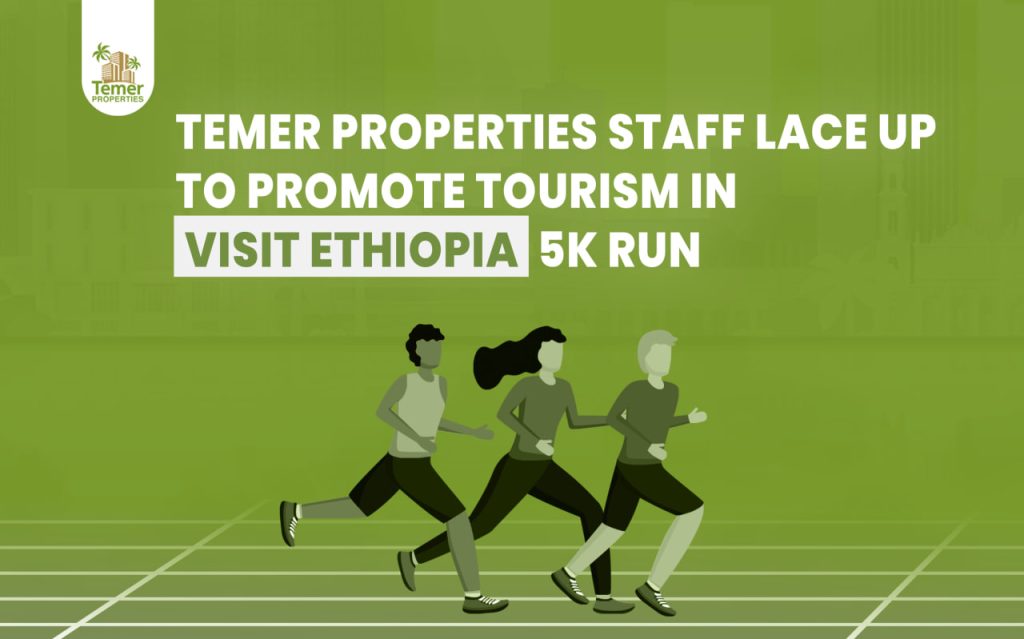 Real Estate In Ethiopia | Temer Properties